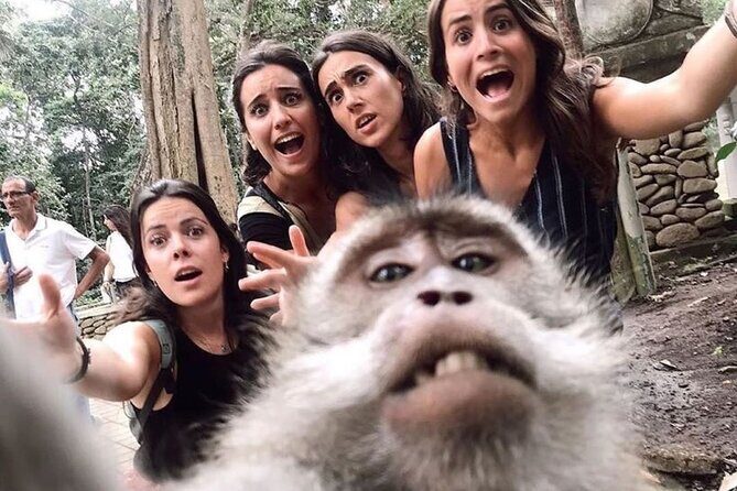 6h Private Tour in Ubud: Rice Terrace Swing, Temple, Waterfall - Practicalities and What You Can Expect