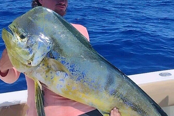6hr Offshore Big Game Fishing Adventure - Final Thoughts: Is This Trip for You?