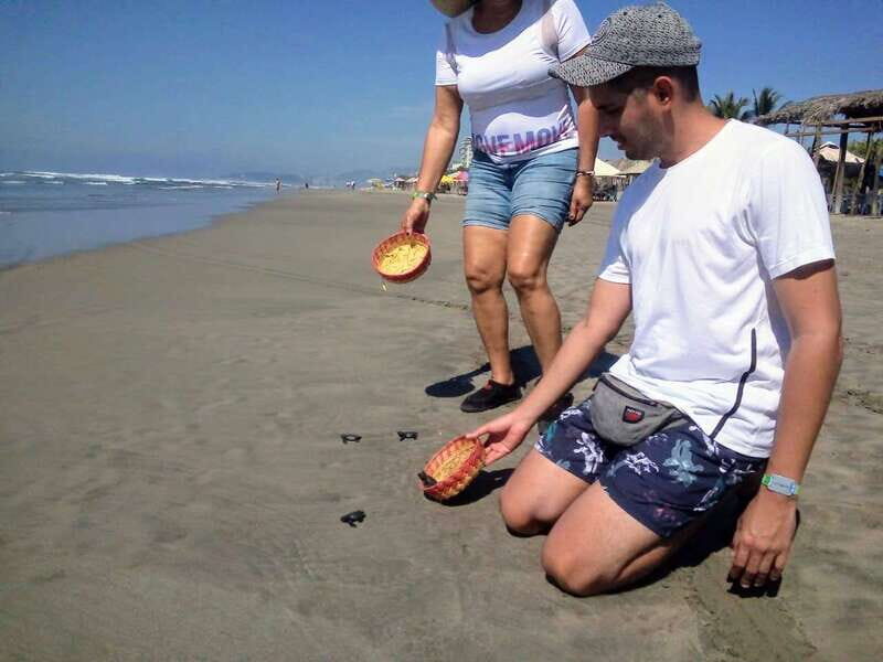 .6Hr Tour Diving Show Baby Turtle Release & All Attractions - FAQ