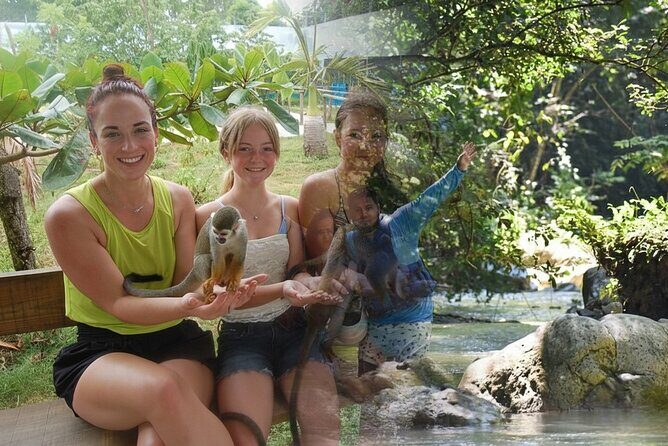 7 Damajagua & Monkey Home Tours waterfalls - Key Points