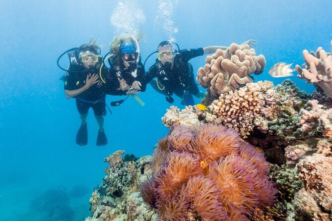 7 Day Brisbane to Cairns Boutique Whitsundays Great Barrier Reef - Introduction