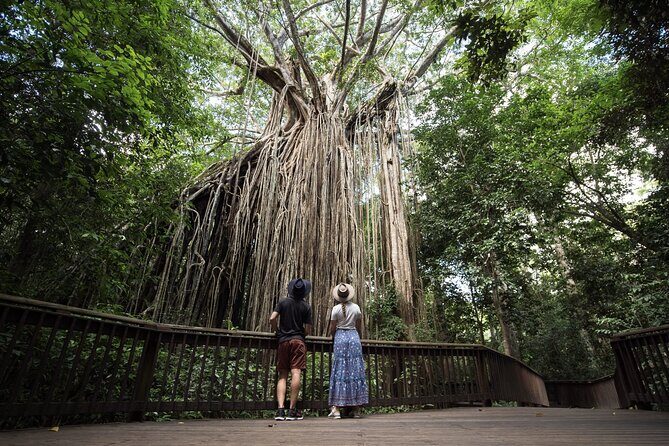 7 Day Brisbane to Cairns Boutique Whitsundays Great Barrier Reef - Key Points