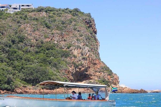 7-Day Garden Route Safari Adventure from Cape Town - Day 6: Adventure in Tsitsikamma