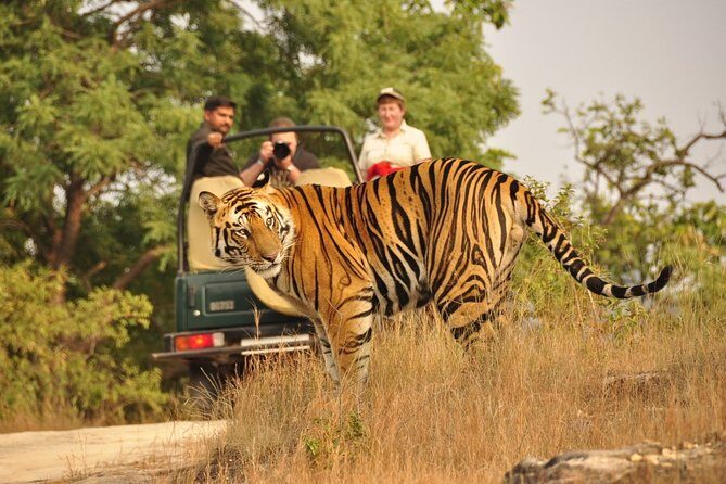 7 Day Golden Triangle Tour with Wildlife-Taj Mahal Tigers & Birds - FAQ