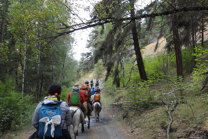 7-day hiking expedition to Tusheti through the Atsunta pass - Final Thoughts: Is This the Adventure for You?