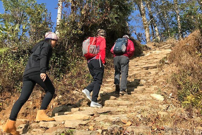 7-Day Kathmandu, Pokhara Tour with Hike to Australian Camp - Authentic Experiences and Genuine Praise