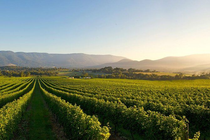 7-Day Magnificent Melbourne and Surrounds Guided Tour - FAQ