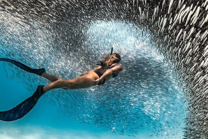 7-Day Maldives Adventure Snorkel Sun and Sand - Key Points