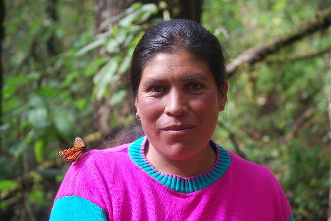 7 Day-Monarch Butterfly Ecofriendly Tour in Mexico - An In-Depth Look at the 7-Day Monarch Butterfly Tour
