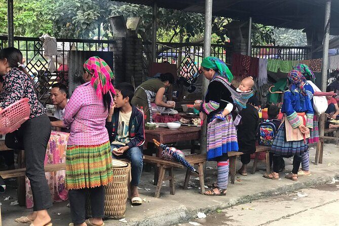 7-Day Northern Vietnam Discovery: Sapa, Ninh Binh & Halong Bay - Exploring the Itinerary in Detail