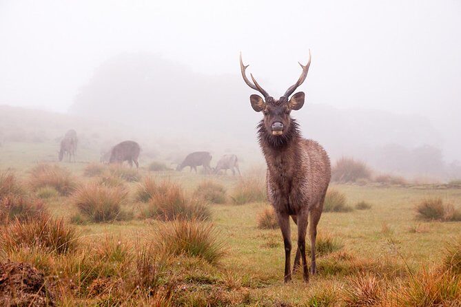7-Day Off The Beaten Nature and Wildlife tour - Who Will Love This Tour?