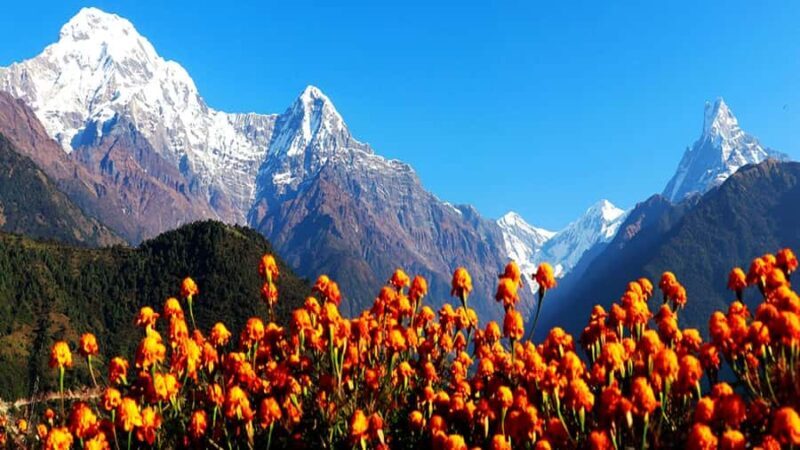 7-Day Poon Hill Trek with Guide and Accommodation - Introduction: Why Consider the Poon Hill Trek?