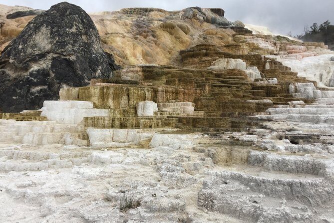 7-Day Private Bryce, Yellowstone, Grand Tetons Tour from Vegas - Transport, Accommodation, and Value