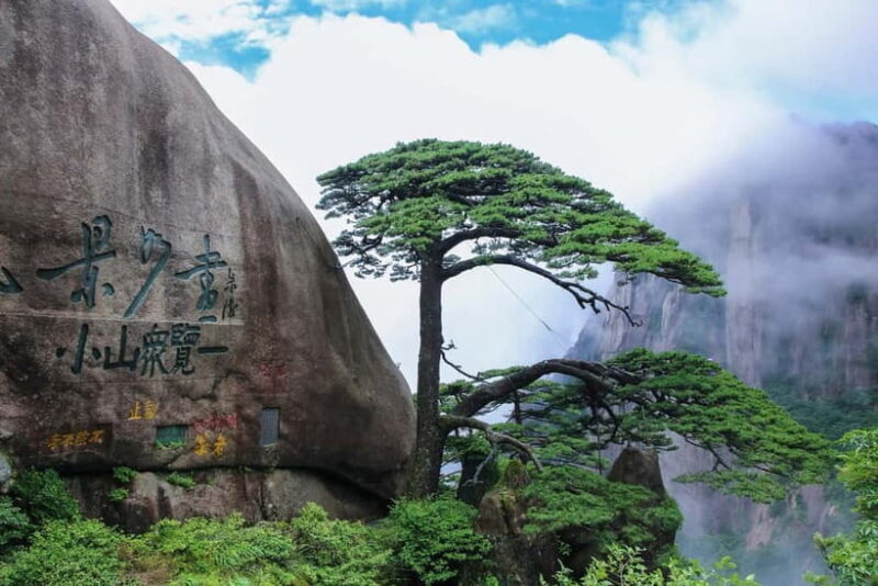 7-Day Shanghai Cityscape & Huangshan Landscape Tour - Who Is This Tour Perfect For?