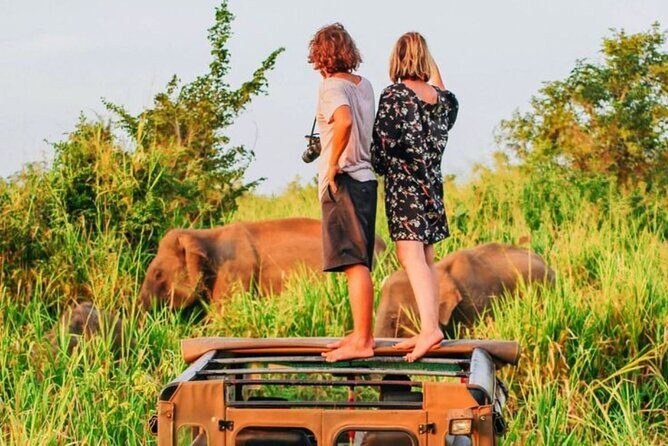 7 Day Sri Lanka Round Trip Culture, Nature and Safari Adventure - What Past Travelers Say