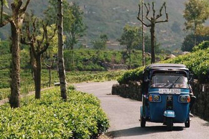 7 Day Sri Lanka Round Trip Culture, Nature and Safari Adventure - The Sum Up