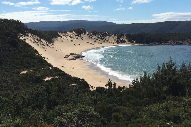 7-Day Super Value Tour of Tasmania: Explore Tasmania's West and East Coasts - Final Thoughts