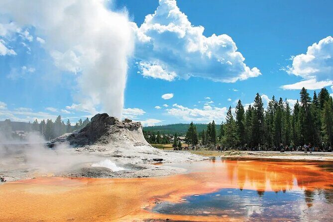 7 -Day Tour from Las Vegas to Yellowstone National Park - Day 7: Vegas Highlights and Departure