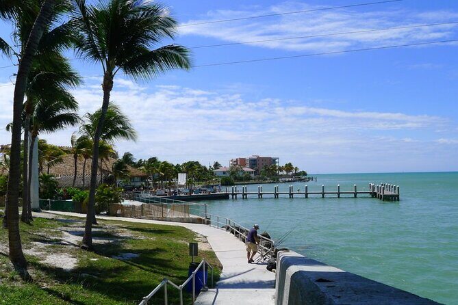 7-Day Tour in Miami, Fort Lauderdale, Key West and Orlando - Authentic Experiences and Common Feedback