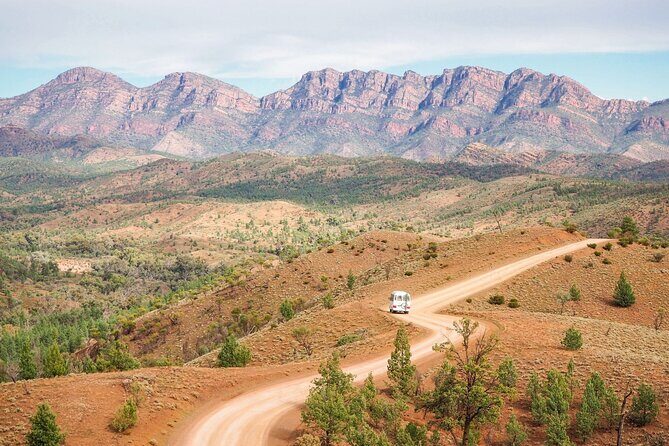 7 Day Uluru to Adelaide Cultural and Adventure Tour - What Travelers Say