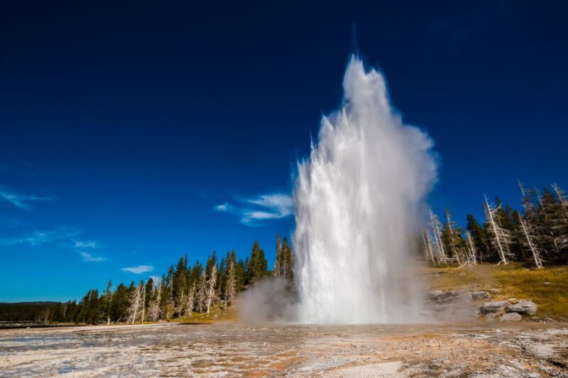 7-Day Yellowstone National Park Rocky Mountain Explorer - Who Will Love This Tour?