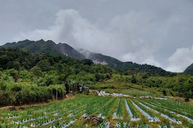 7 Days 6 Nights North Sumatra Tour (Bukit Lawang-Berastagi-Lake Toba) - The Sum Up