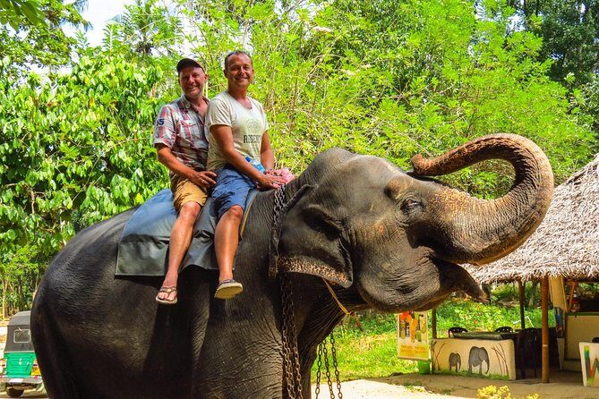 7 Days 6 Nights Package Tour with Holiday Walkers Sri Lanka - The Sum Up
