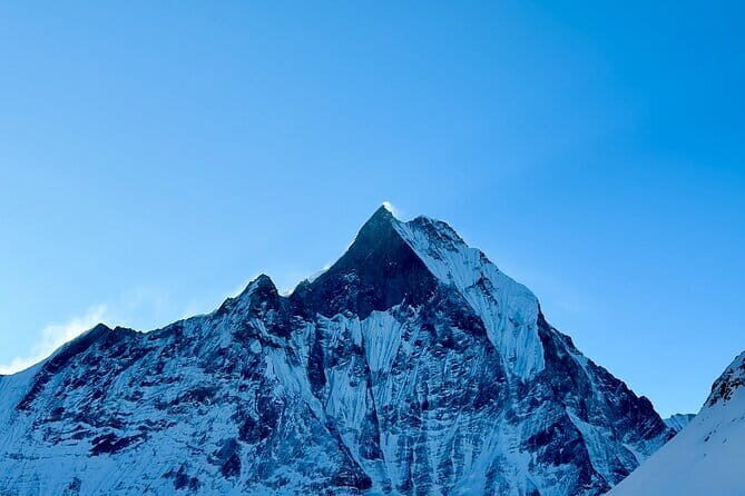 7 Days ABC Trek with Chitwan Safari Tour - The Itinerary: A Closer Look