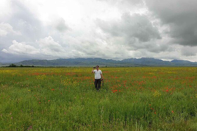 7 Days Almaty Tour Package - An Honest Look at the 7-Day Almaty Tour