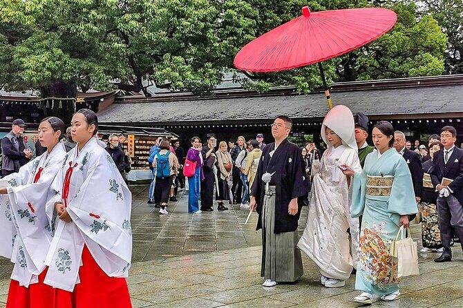 7 Days Best Japan Mini Group Tour with Toyko, Kyoto, Nara & Osaka - The Sum Up