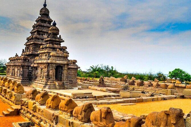 7 Days Cochin Munnar Thekkady Alleppey Houseboat Special - Day 5: The Backwaters & the Houseboat Experience