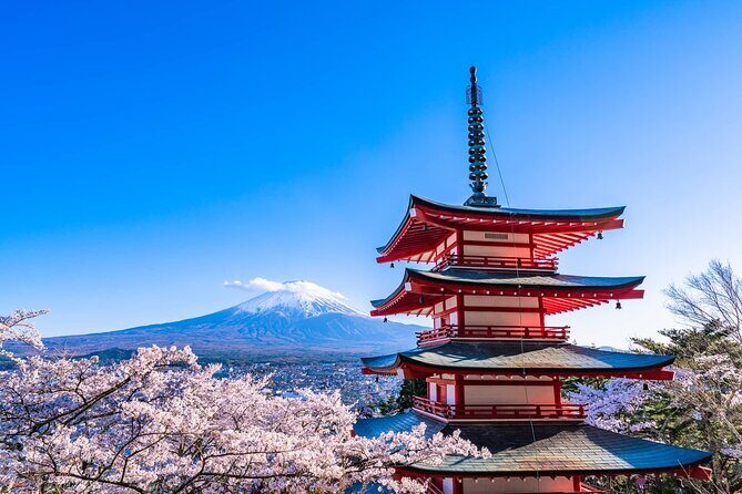 7 Days Customized Tokyo and Kansai Classic Family Tour - Exploring Japan: A Detailed Look at the 7-Day Tour