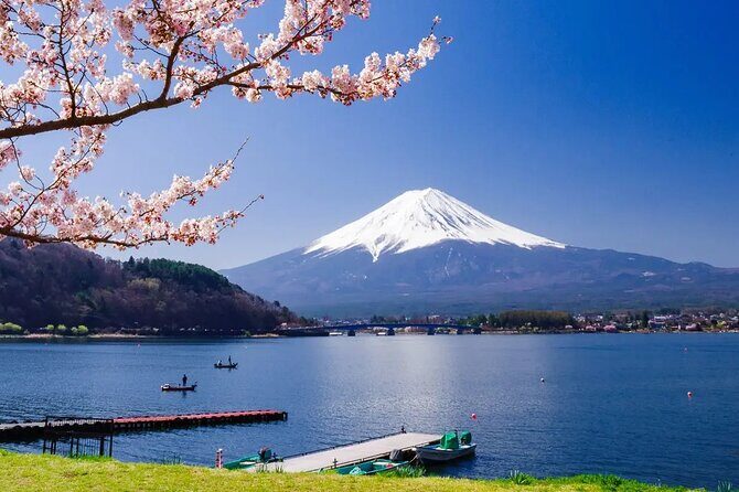 7 Days Customized Tokyo and Kansai Classic Family Tour - Practicalities & Value