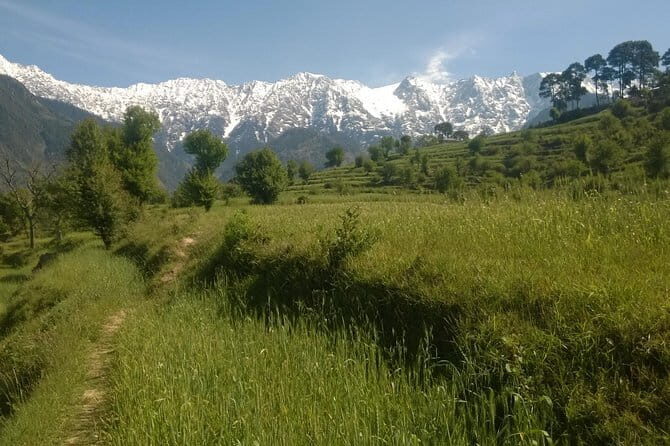 7 Days Dharamsala - Dalai Lama home Trek - Key Points