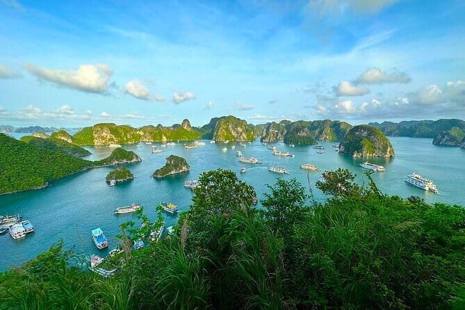 7 Days Discover Northern Vietnam: Ninh Binh, Ha Long Bay & Sapa - Final Thoughts