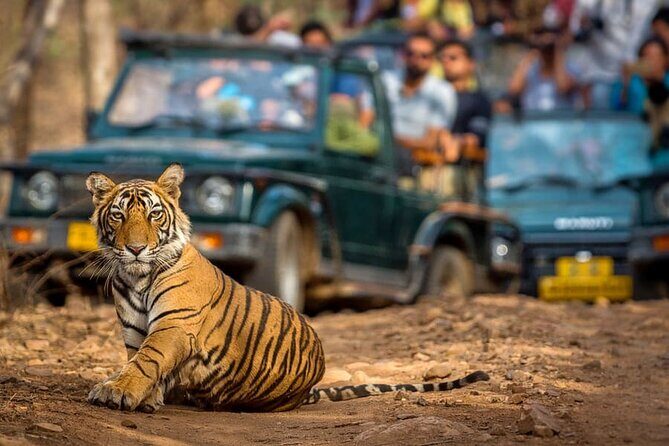 7 Days Golden Triangle Tour with Ranthambore & Varanasi Tour - Who Should Consider This Tour?