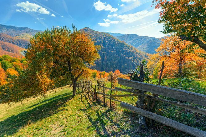 7-Days Grand Romania tour from Bucharest - The Day-by-Day Journey: What to Expect