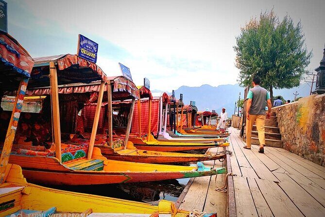 7-Days Honeymoon package of Kashmir from Srinagar - Who Should Consider This Tour?