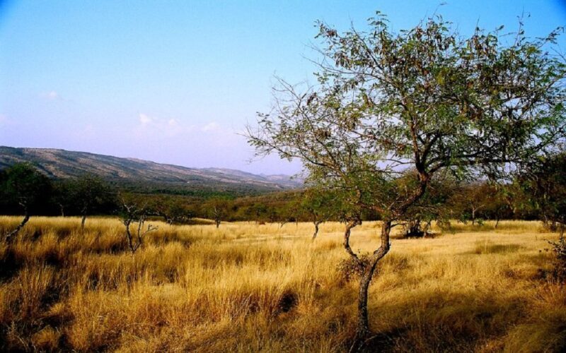7 days india Taj Mahal tour with ranthambore tiger safari - FAQs