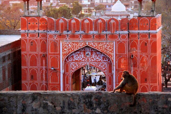7 Days India Tour from New York including Visa and flight - Return to Delhi: A Mix of Modern and Old