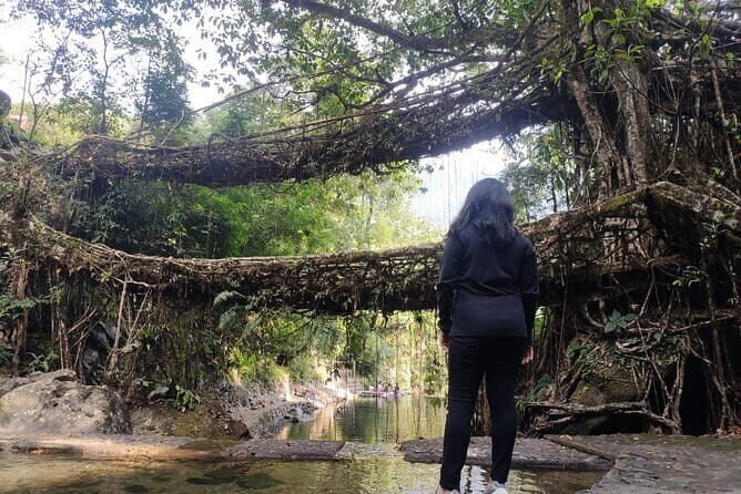 7 days kaziranga meghalaya tour package - An In-Depth Review of the 7-Day Kaziranga Meghalaya Tour