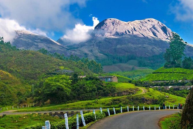 7-Days Kerala Luxury Tour from Cochin - Key Points