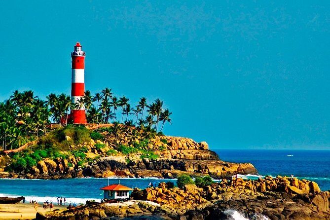 7-Days Kerala Luxury Tour from Cochin - Evaluating the Value: Is it Worth It?