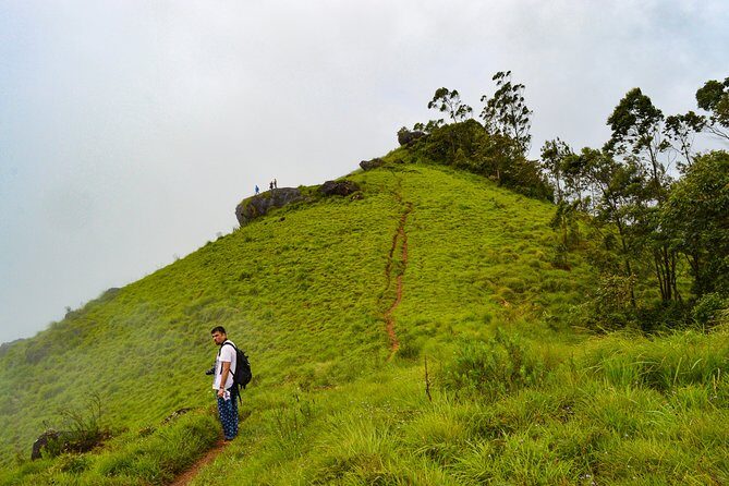 7 Days Kerala Tour- Munnar, Periyar, Houseboat & Varkala Beach - A Complete Breakdown: What This Tour Offers