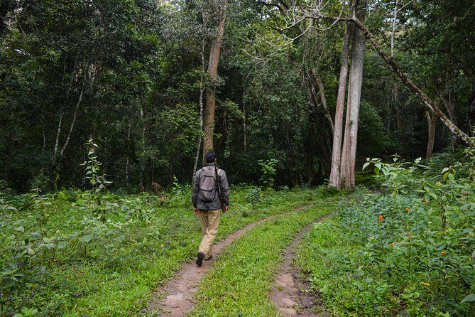 7 Days Kerala Tour- Munnar, Periyar, Houseboat & Varkala Beach - Final Thoughts