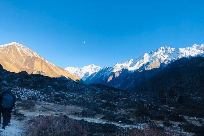 7 Days Langtang Valley Trek from Kathmandu - What Travelers Say