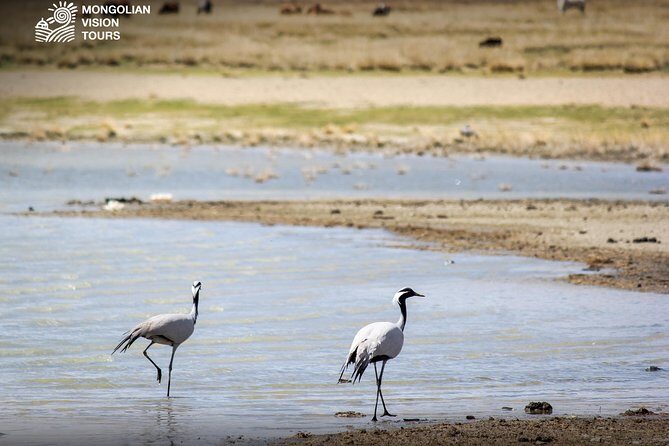 7 days Mongolian Heartland - The Itinerary Breakdown