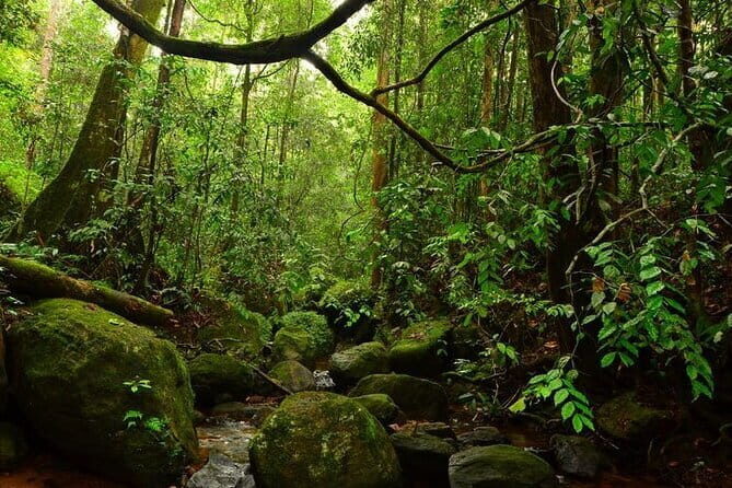 7 Days Private Guided Tour in Sri Lanka - Final Thoughts: Is This Tour Right for You?