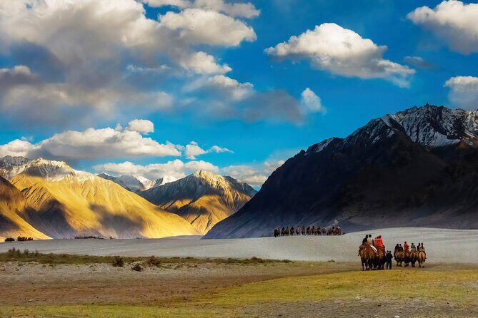 7 Days Private Ladakh India Tour with Transportation - Key Points