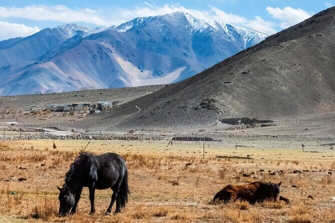 7 Days Private Ladakh India Tour with Transportation - Detailed Breakdown of the 7-Day Ladakh Tour